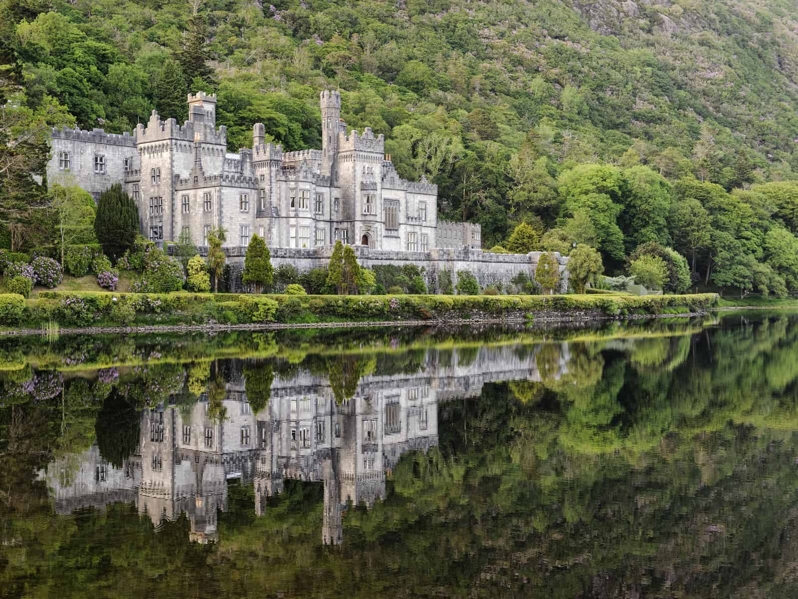 Summer Offers | Hotel Deals in Galway | The Hardiman Hotel
